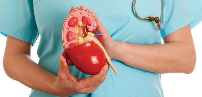 Nier nephrosclerosis ( "gekontrakteer nier"): oorsake, simptome, tekens ...